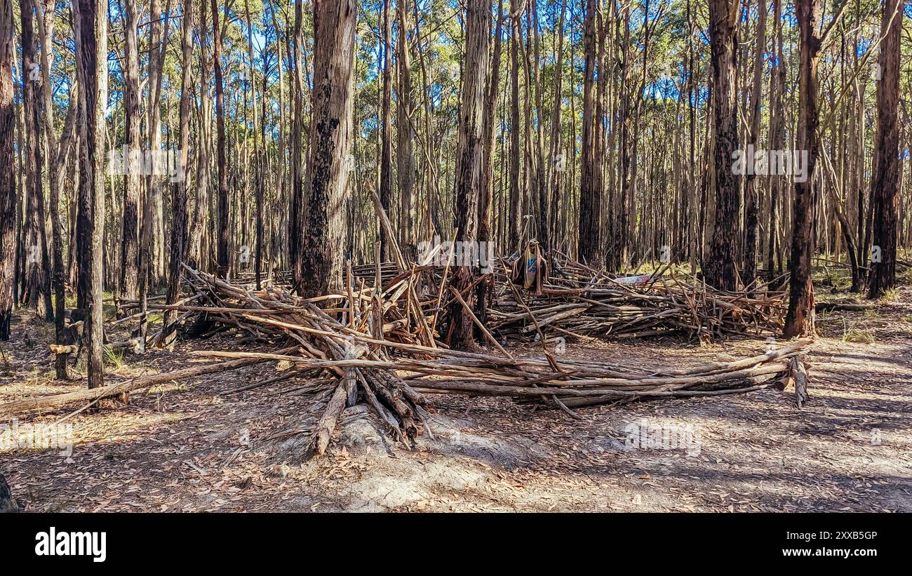 Victorian Rural Country Bush Camp in Australia Stock Photo - Alamy
