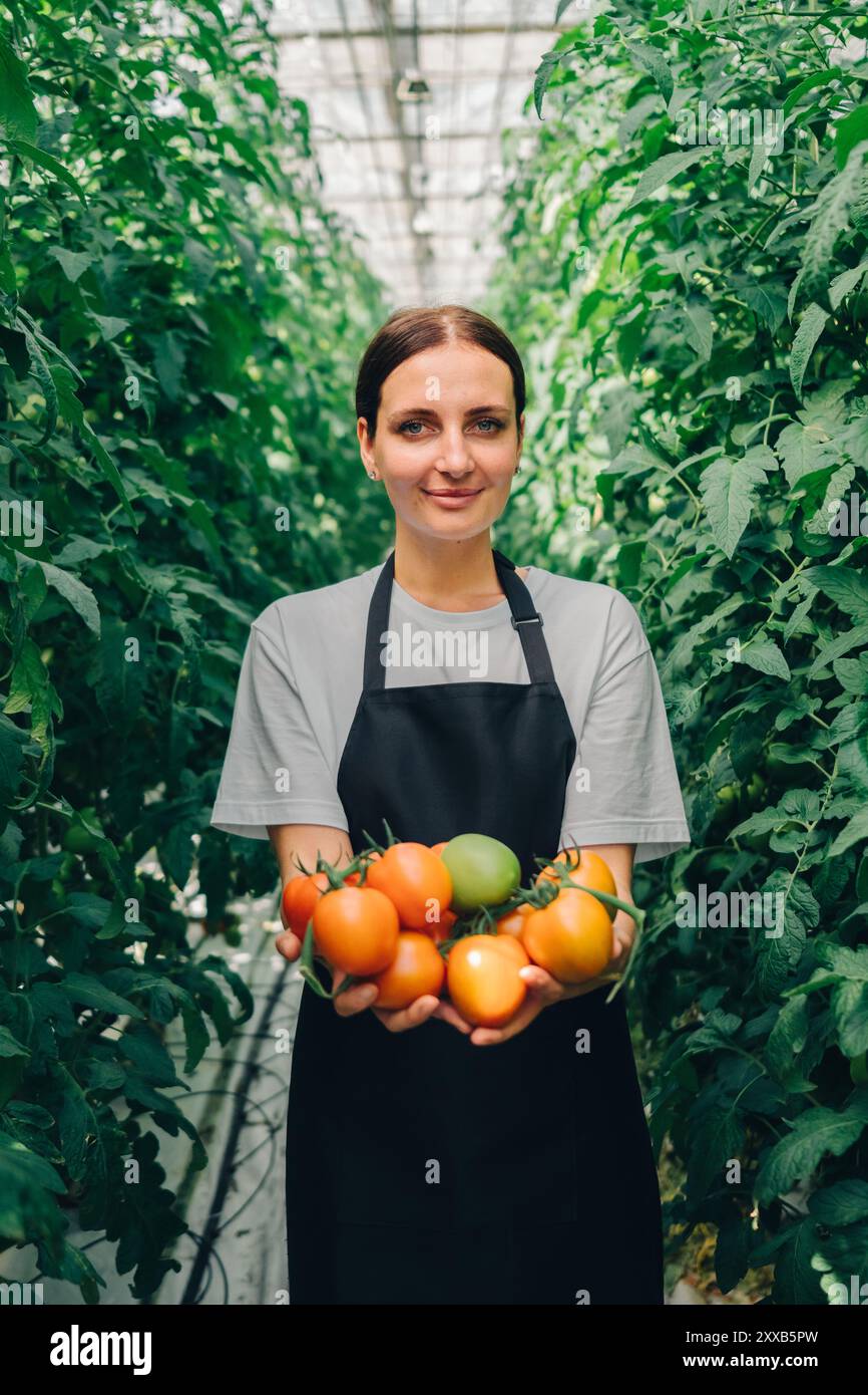 The Methodical Process of Fresh Producing Harvesting That Occurs Within ...