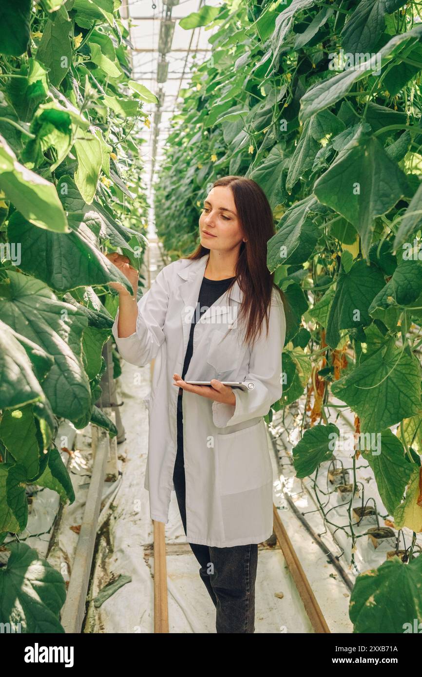 A scientist is conducting a thorough analysis of plant growth metrics ...