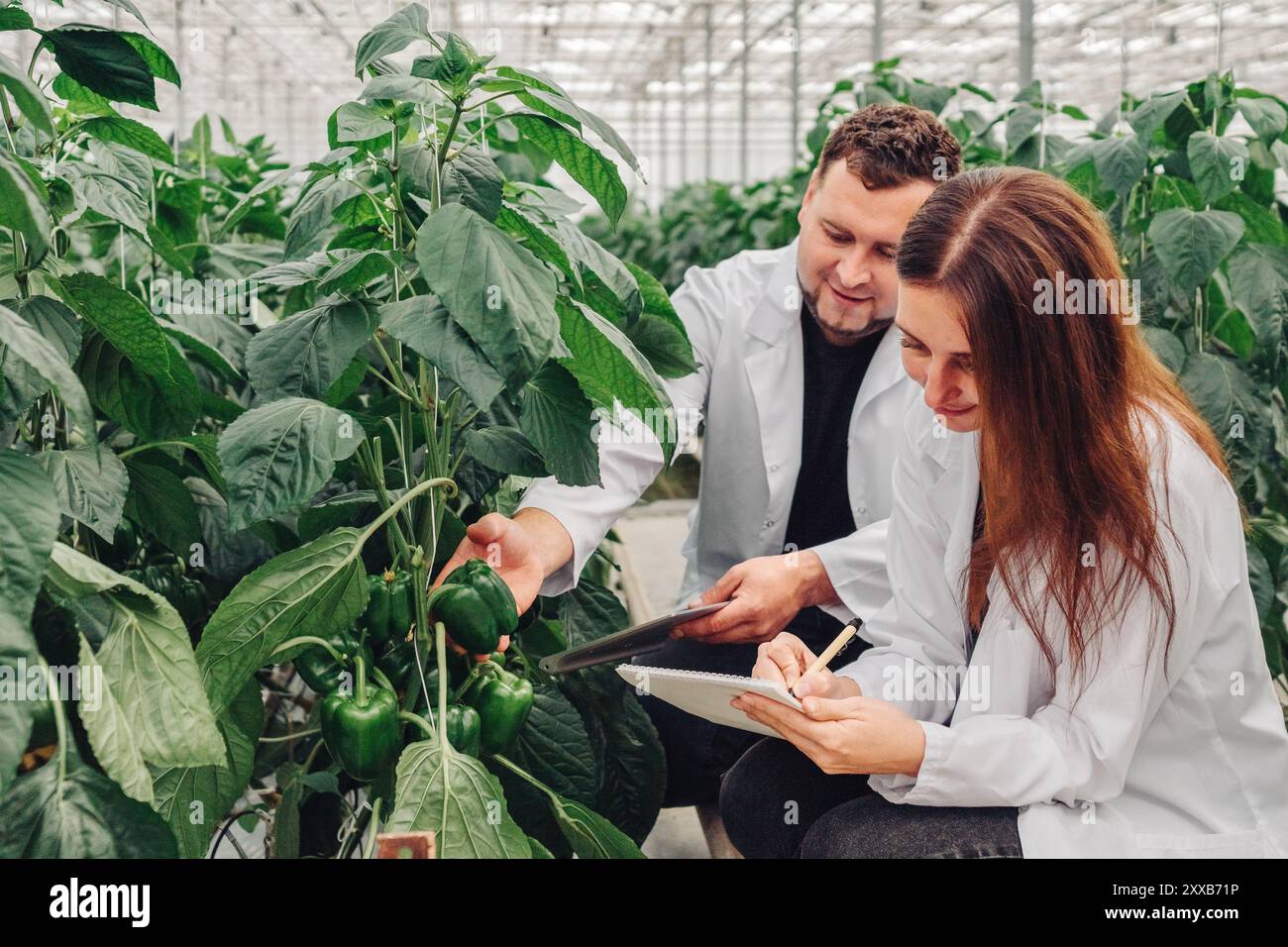 Experienced scientists are analyzing various plants in a controlled ...