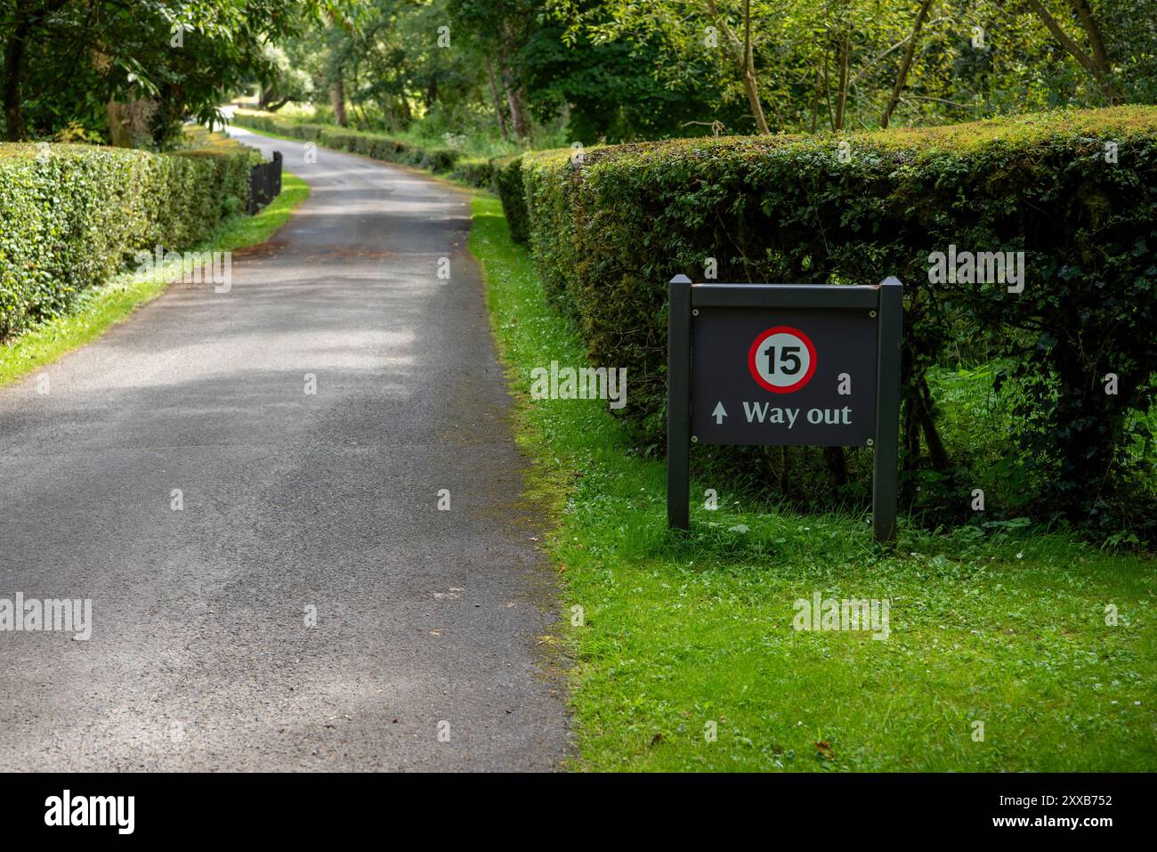 Way out sign Stock Photo - Alamy
