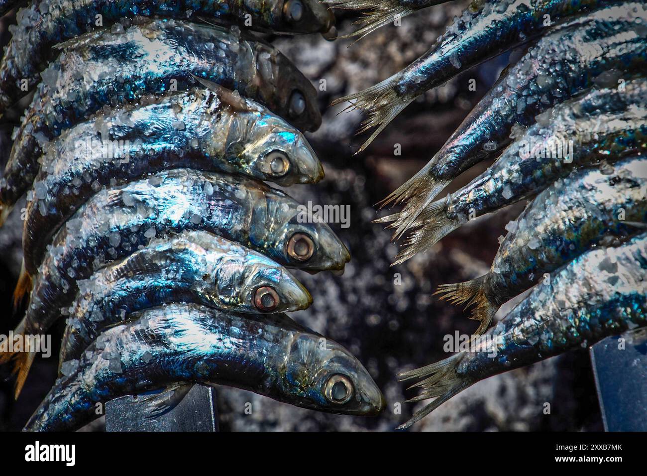 Gourmet sardines hi-res stock photography and images - Alamy