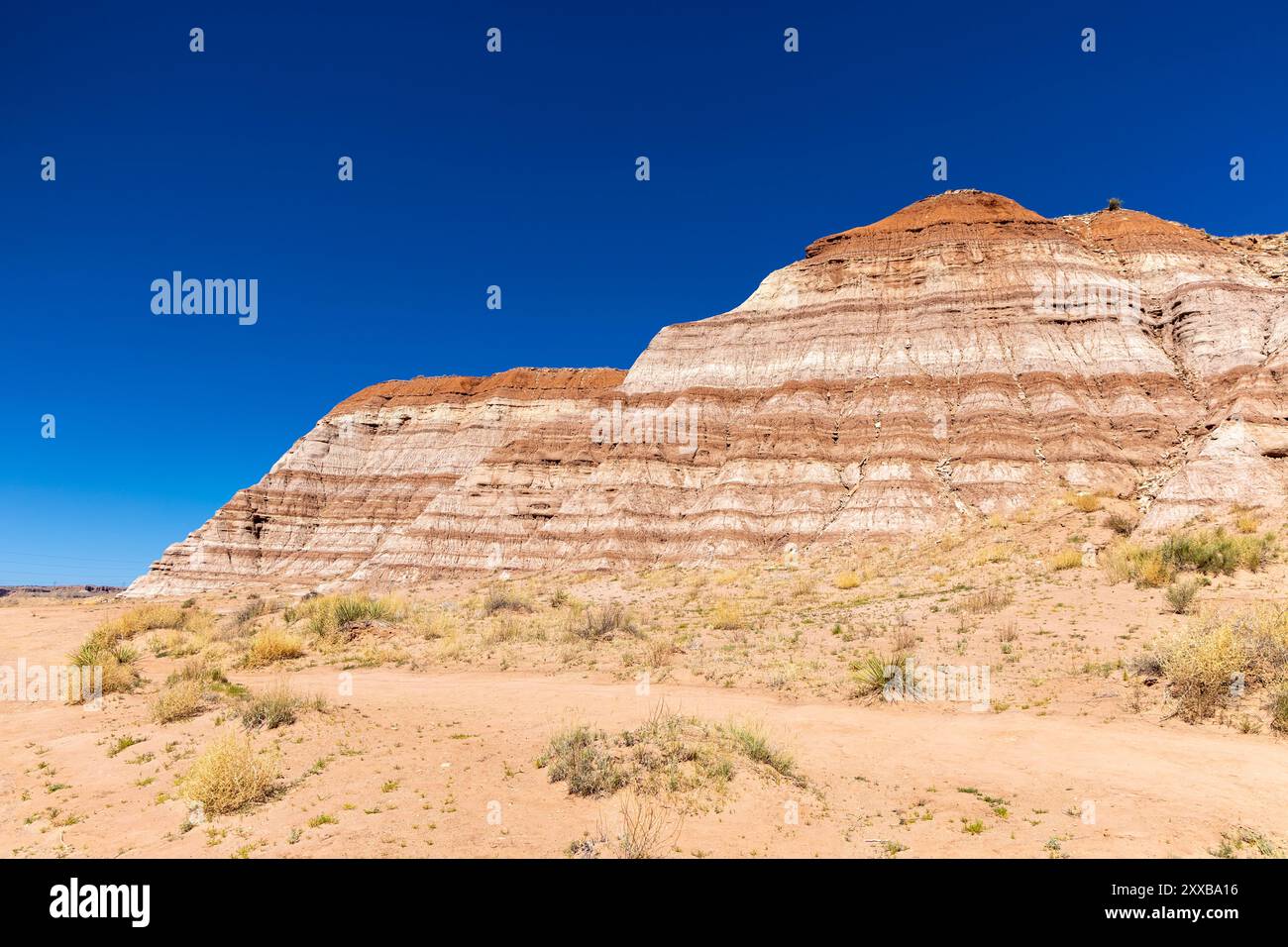 Landscape around the start of the Toadstool Hoodoos Trailhead at Grand ...