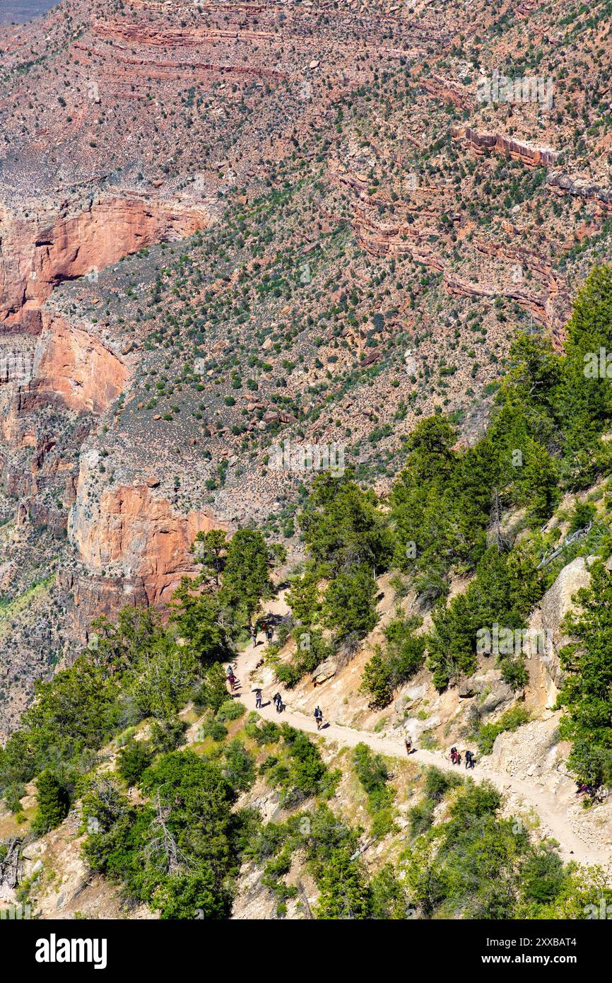 People hiking along the Bright Angel Trail in Grand Canyon, Arizona ...