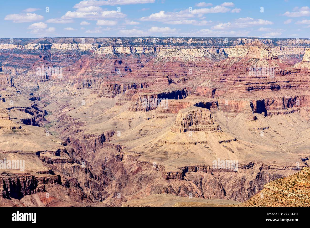View of Grand Canyon along the Bright Angel Trail, Arizona, USA Stock ...