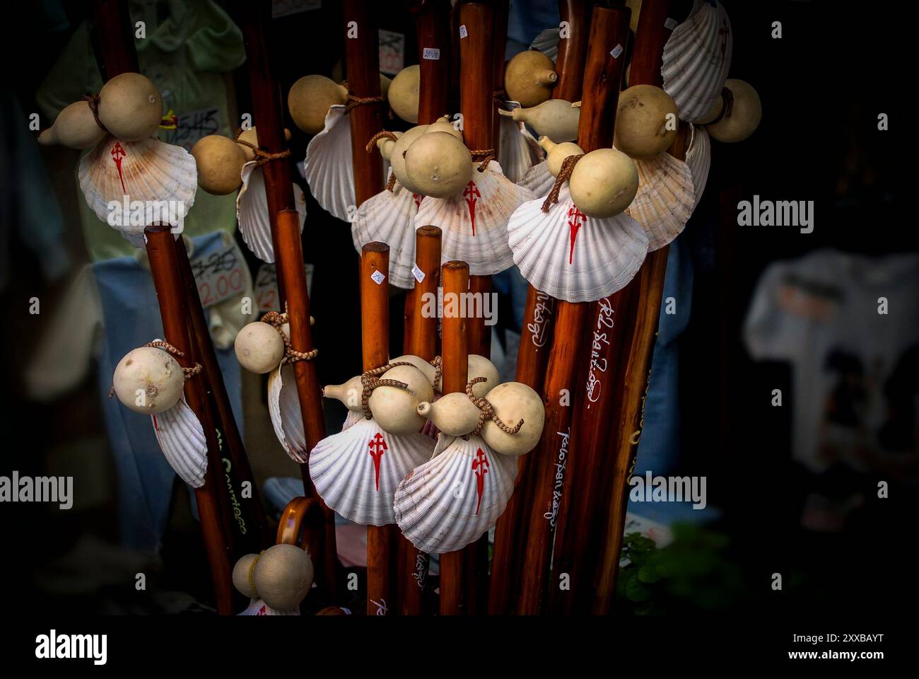 St james shells hi-res stock photography and images - Alamy