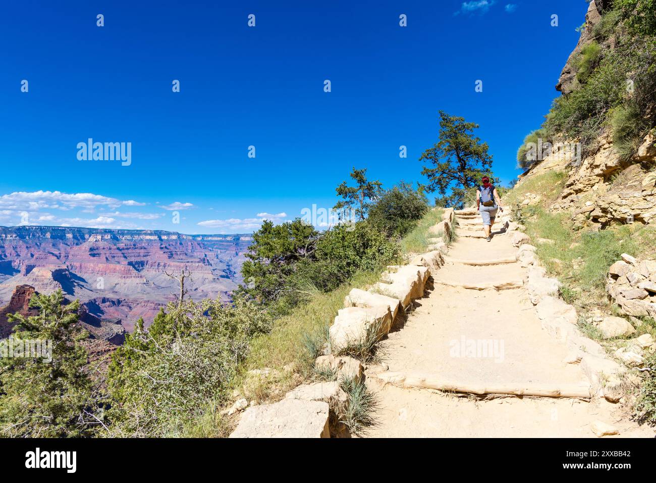 Woman hiking along the Bright Angel Trail in Grand Canyon, Arizona, USA ...