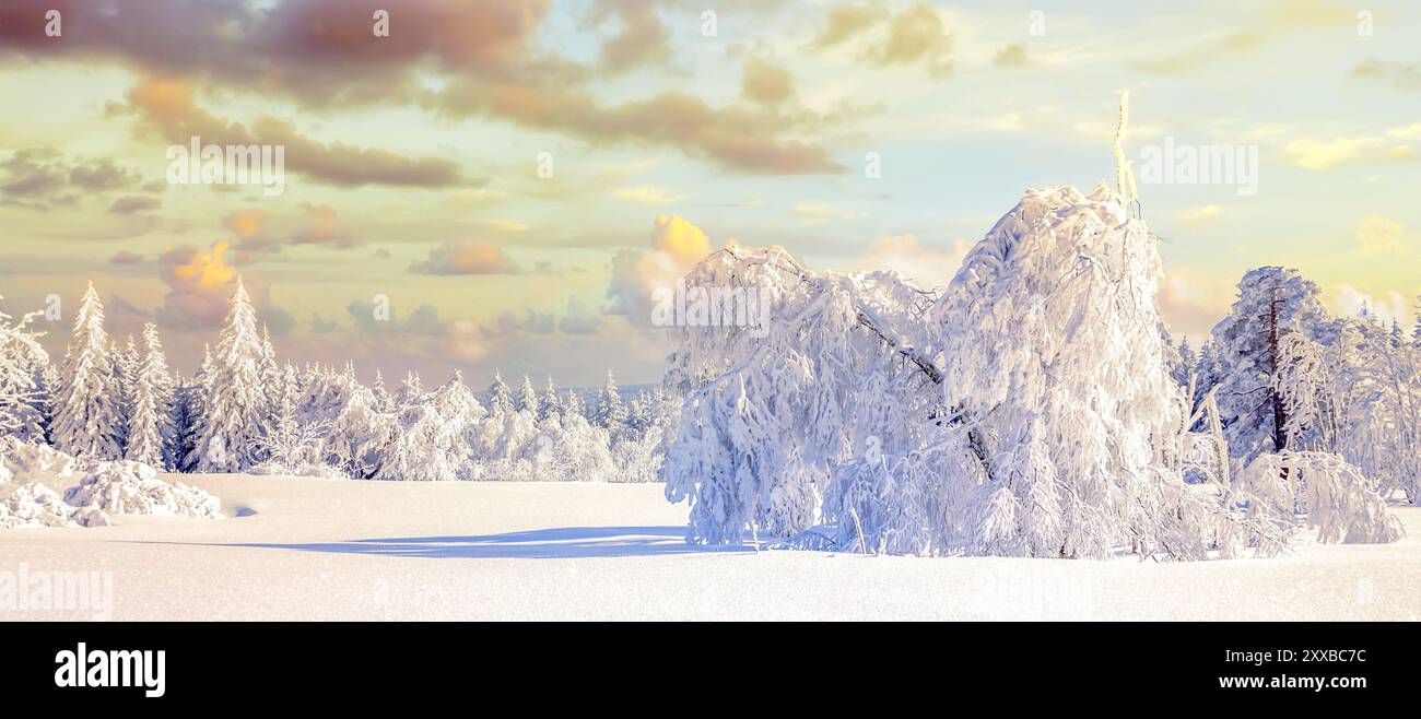Winter Wonderland in Sauerland, Winterberg Stock Photo - Alamy