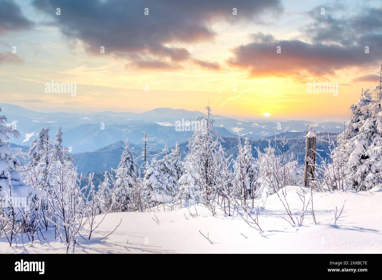 Winter Wonderland in Sauerland, Winterberg Stock Photo - Alamy
