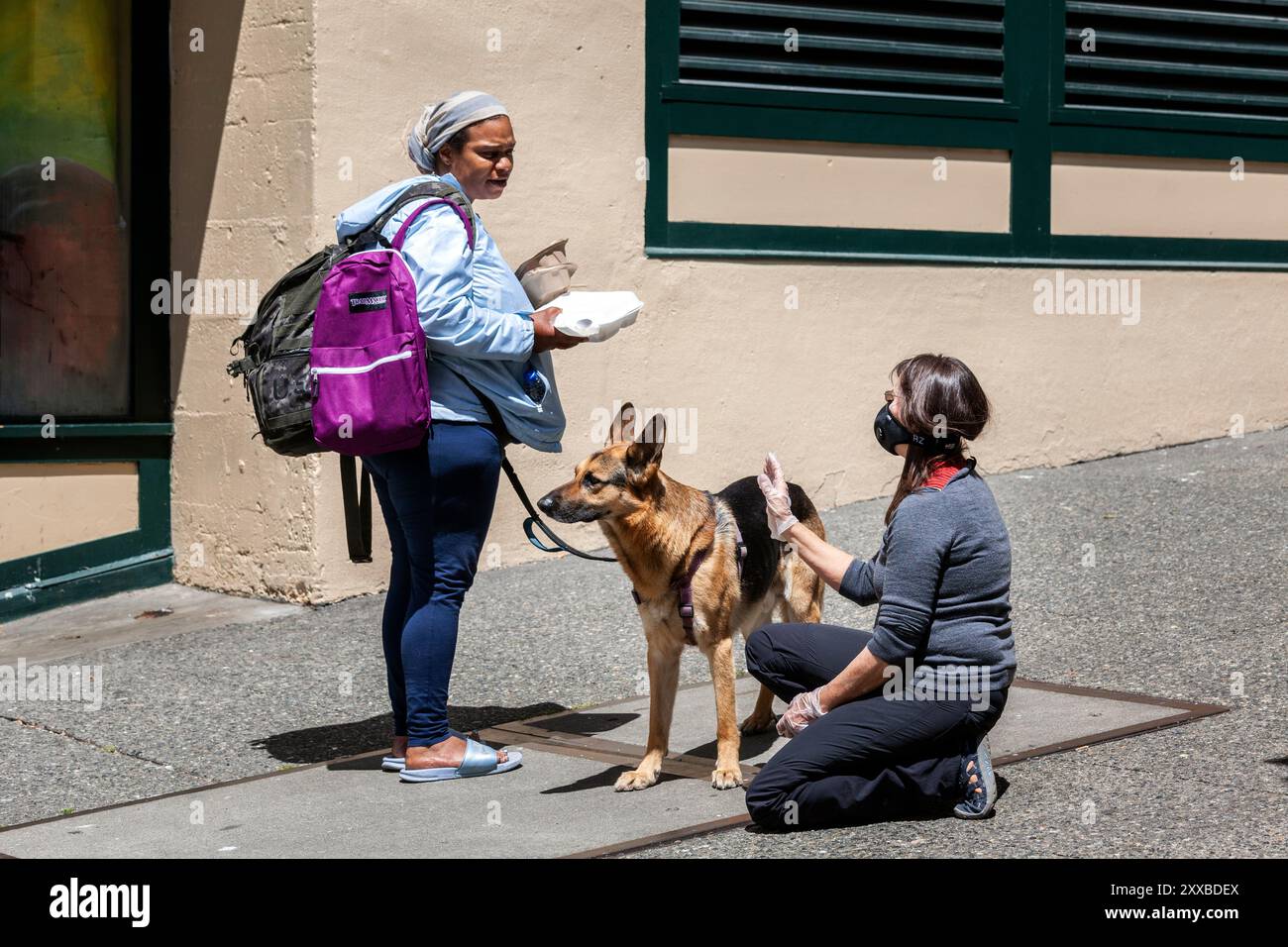 Homeless woman dog hi-res stock photography and images - Alamy