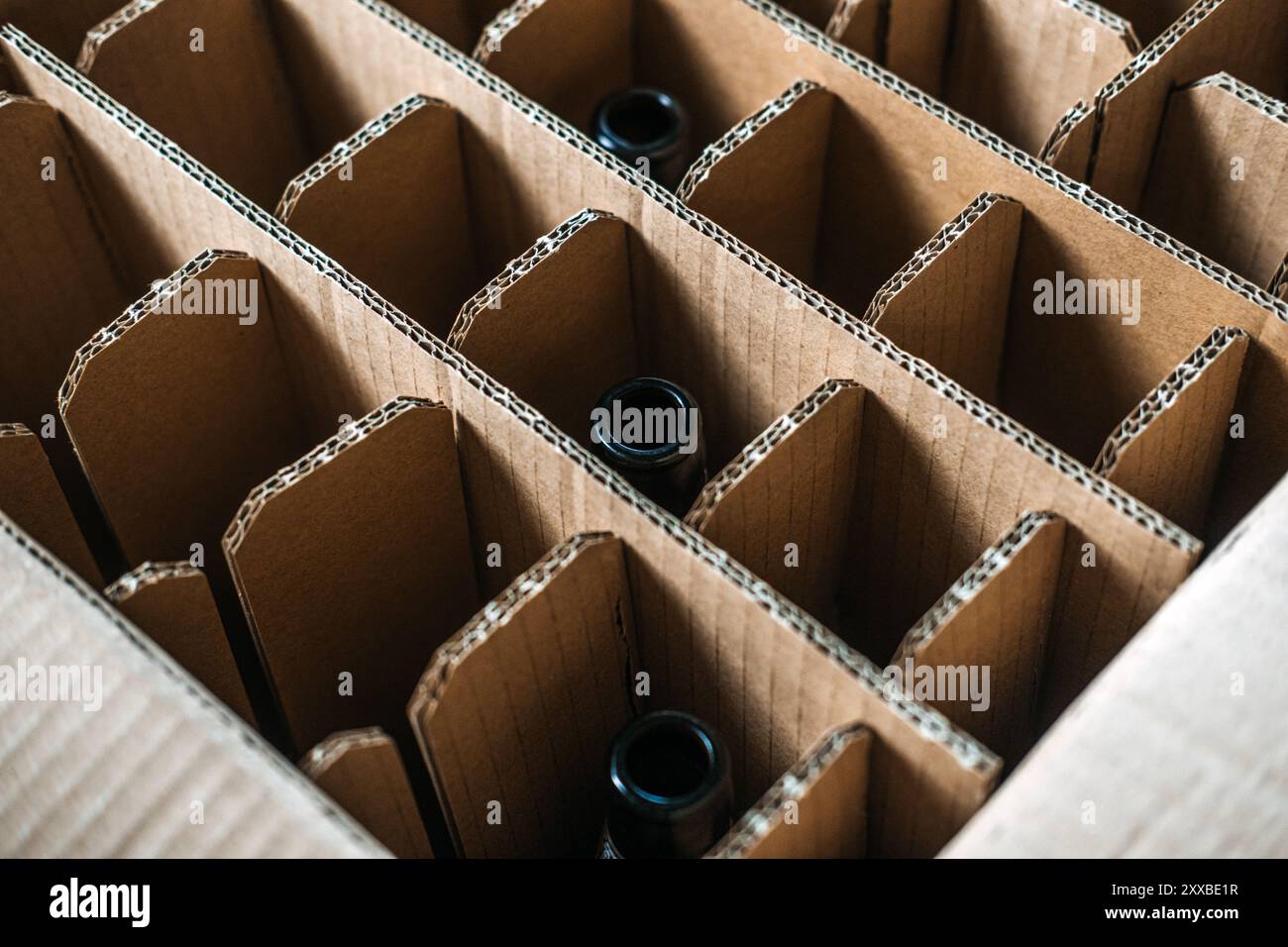 Corrugated cardboard beer bottle packaging with dividers. Sustainable ...