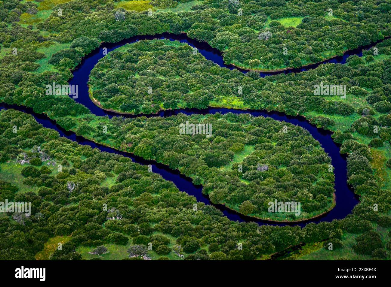 The Christina river in the boreal forest near Fort McMurray in Alberta ...