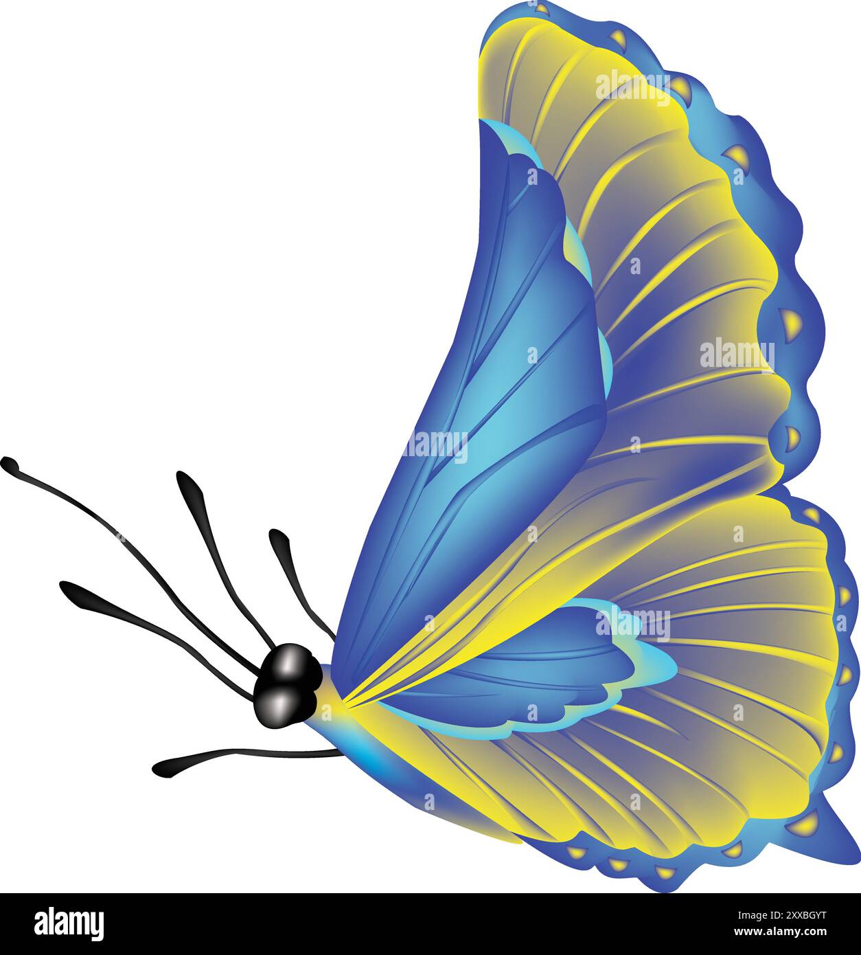 illustration of blue color butterfly vector design on a white ...