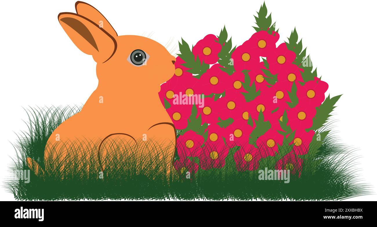 illustration of rabbit vector design on a white background Stock Vector ...