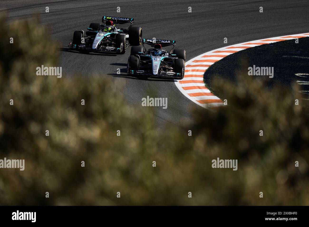 63 RUSSELL George (gbr), Mercedes AMG F1 Team W15, 44 HAMILTON Lewis ...