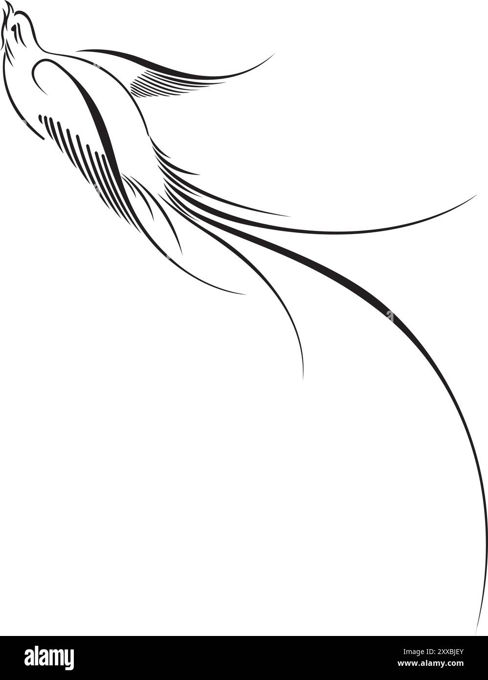 abstract bird with elegant calligraphy strokes for illustration Stock ...
