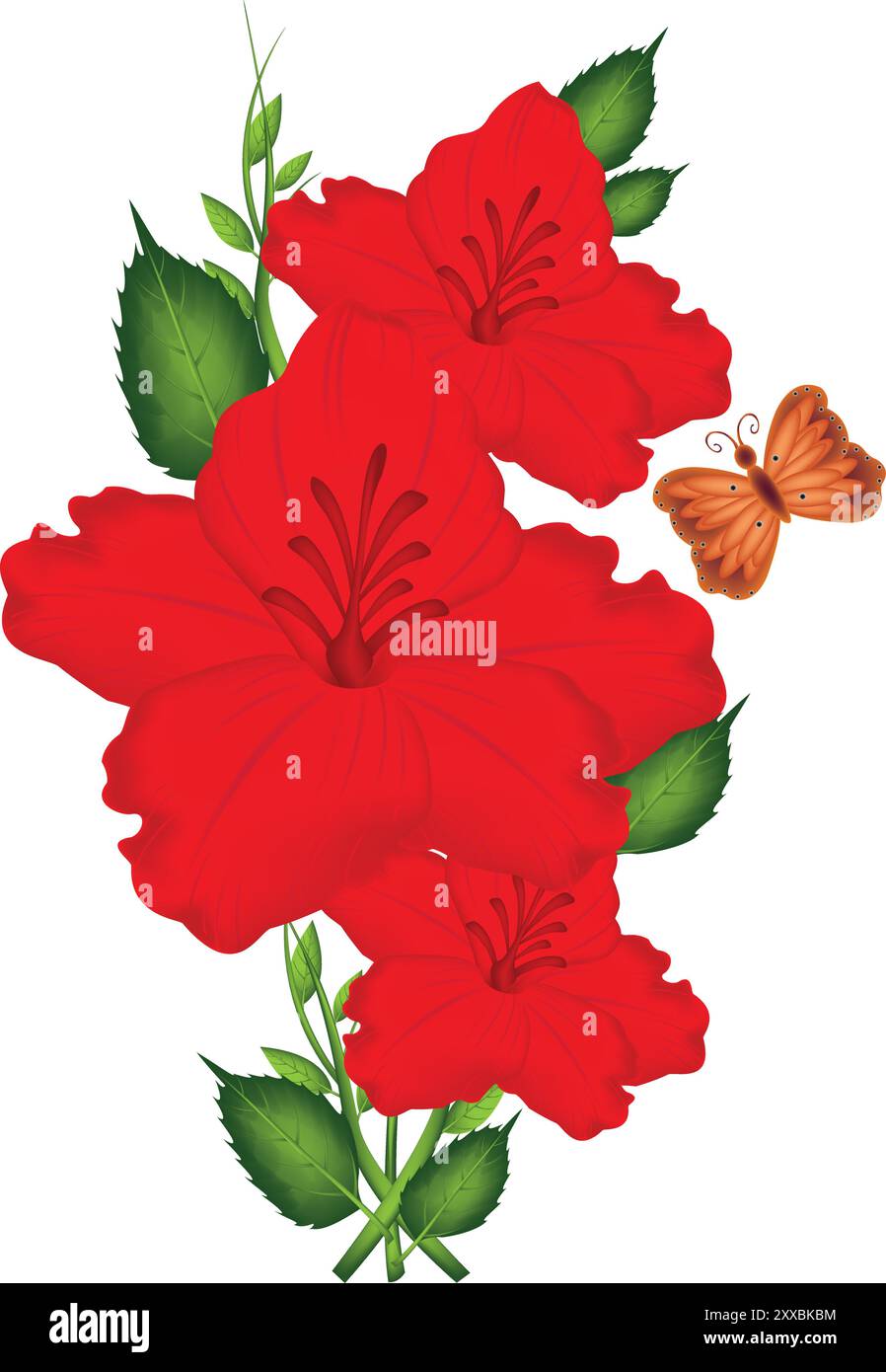 illustration of hibiscus rose vector with butterfly design on a white ...