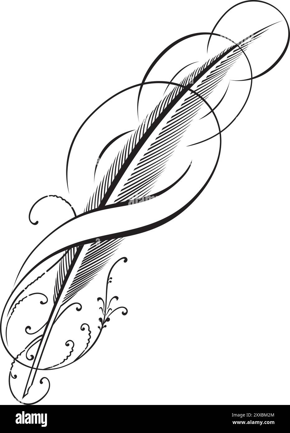Bird feather vector illustration. Fluffy feather silhouette line art ...