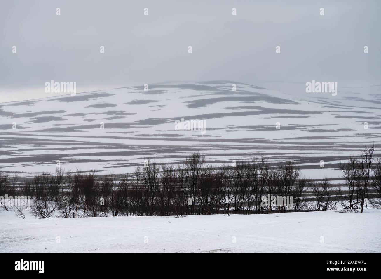 nordic landscape along the road from Alta to the Island of Mageroya ...