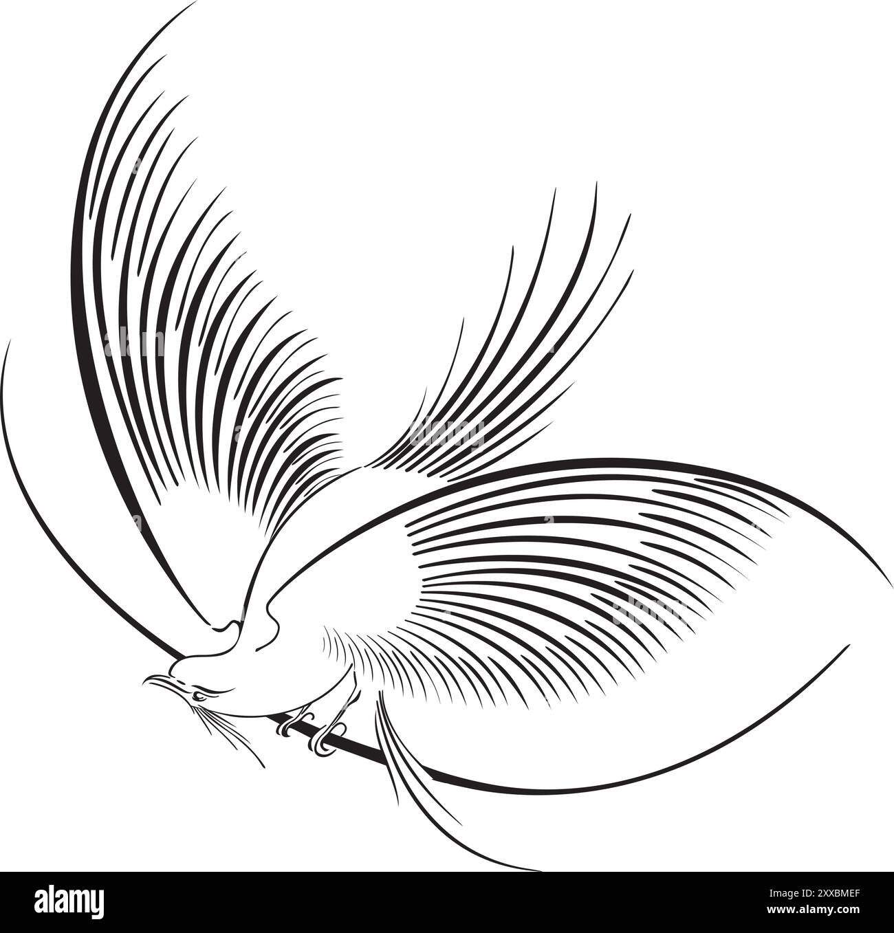 abstract bird with elegant calligraphy strokes for illustration Stock ...