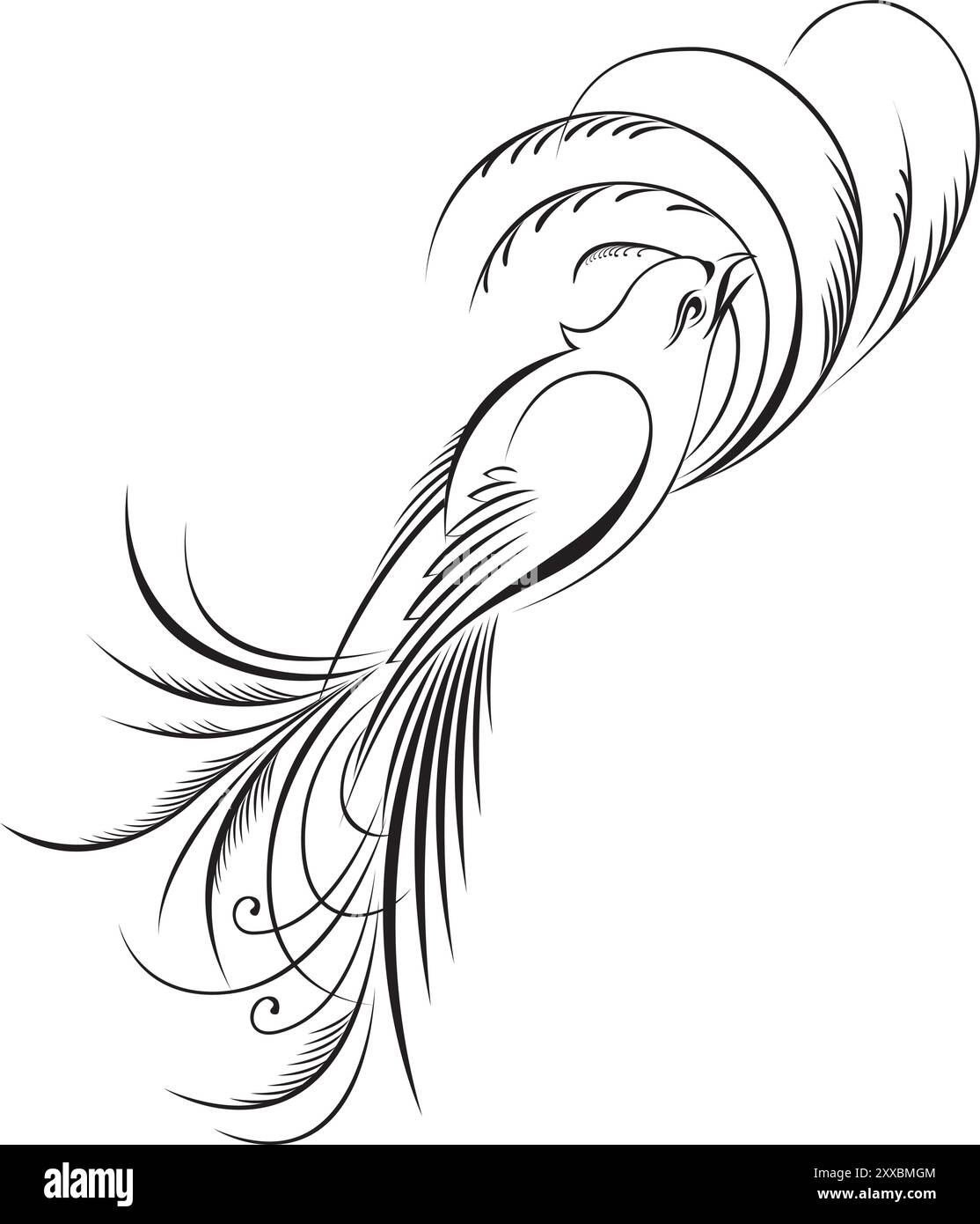abstract bird with elegant calligraphy strokes for illustration Stock ...