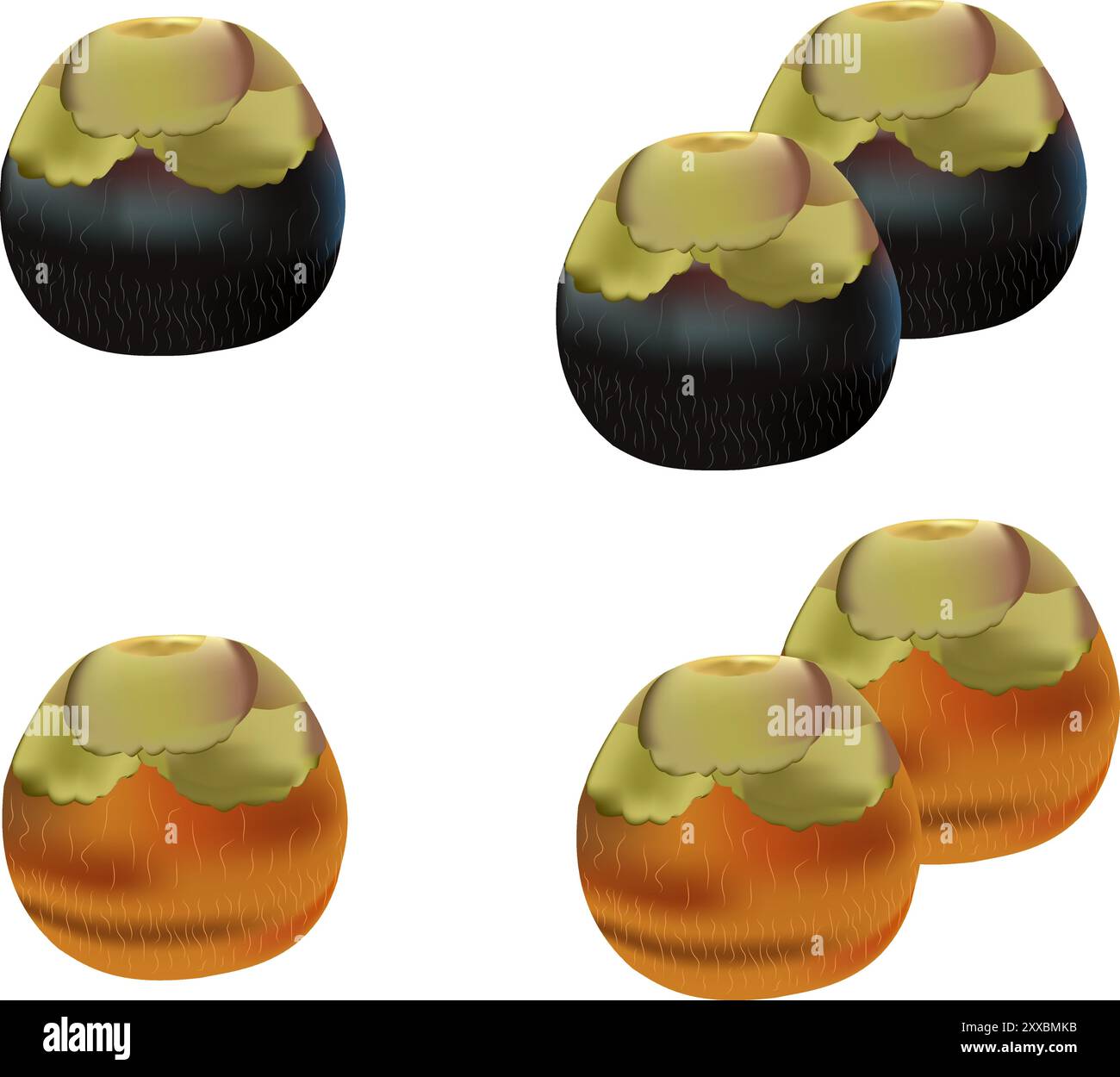 Toddy tree Stock Vector Images - Alamy