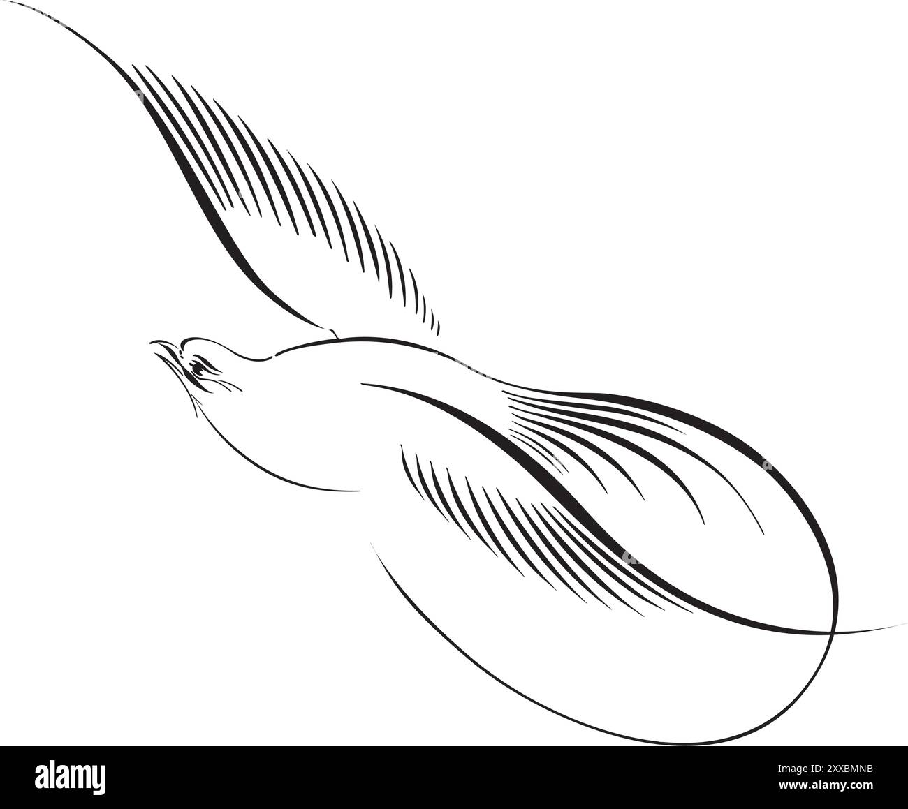 abstract bird with elegant calligraphy strokes for illustration Stock ...