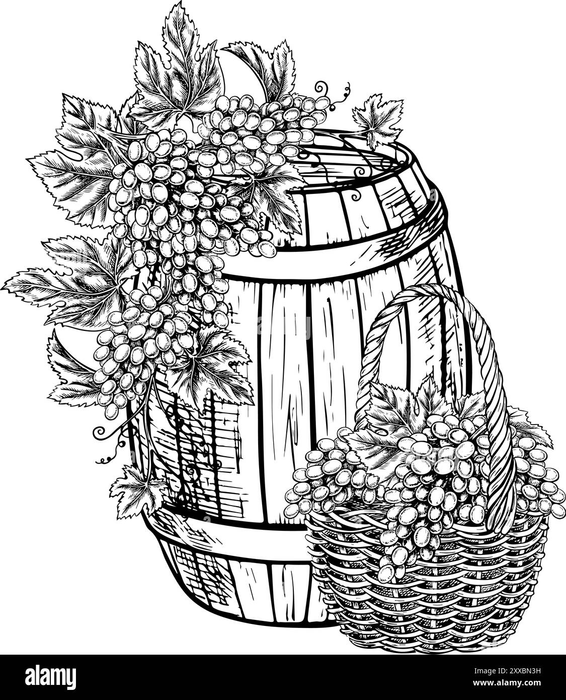 Wine. Vines and bunches of grapes in a basket, a barrel of wine. Vector ...