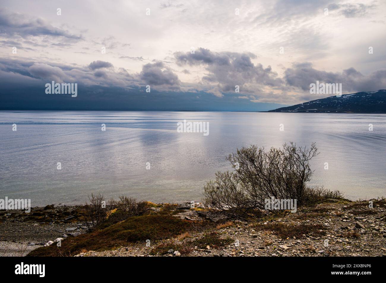 nordic landscape along the road from Alta to the Island of Mageroya ...