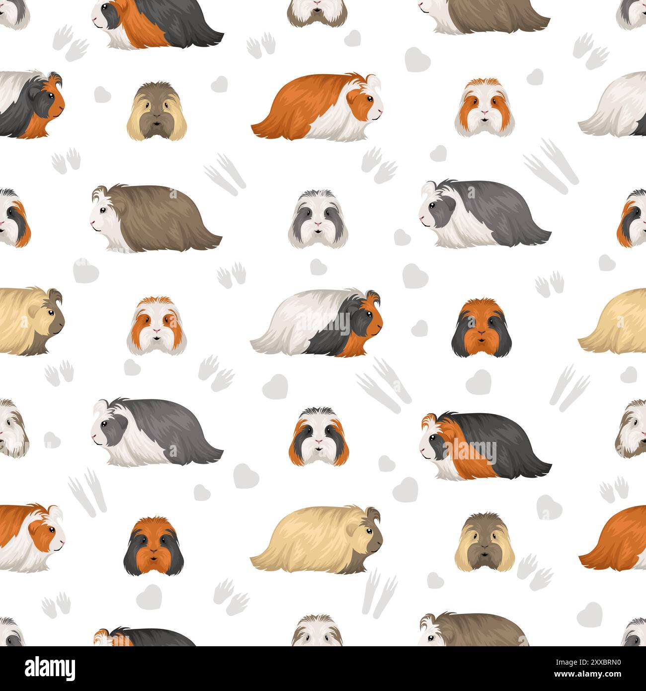 Coronet Guinea pig seamless pattern. All coat colors cavies set. Small ...