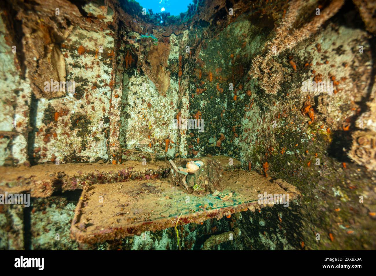 Honduras, Utila, Halliburton Wreck Stock Photo - Alamy