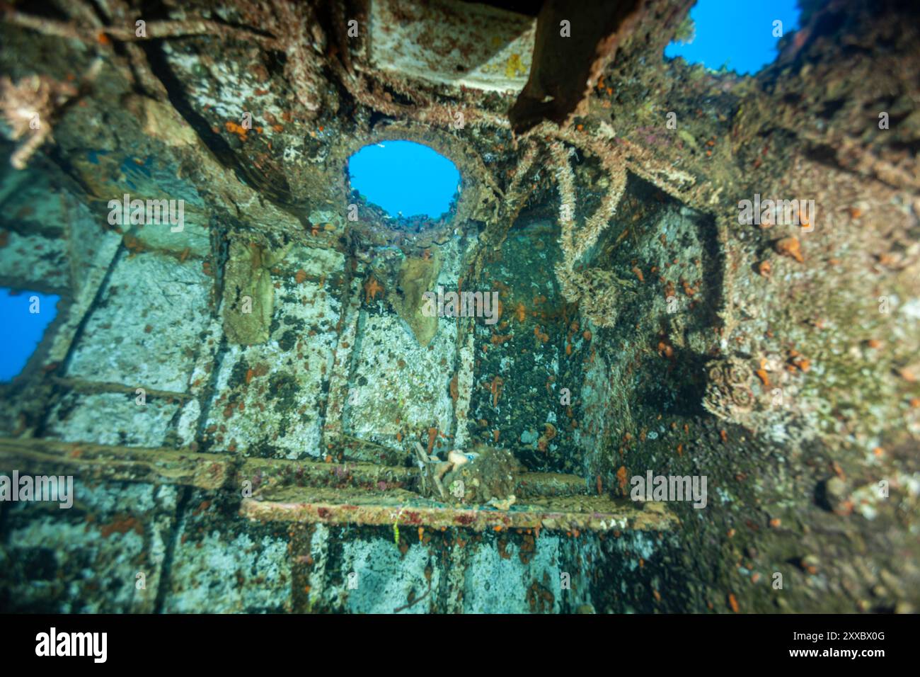 Honduras, Utila, Halliburton Wreck Stock Photo - Alamy