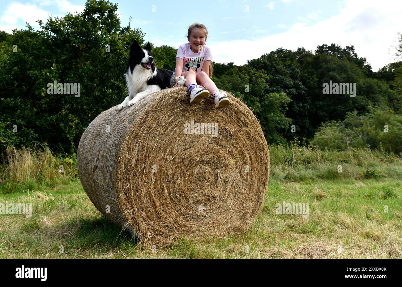 Family fun on the farm Border Collie dog and child on hay bale ...