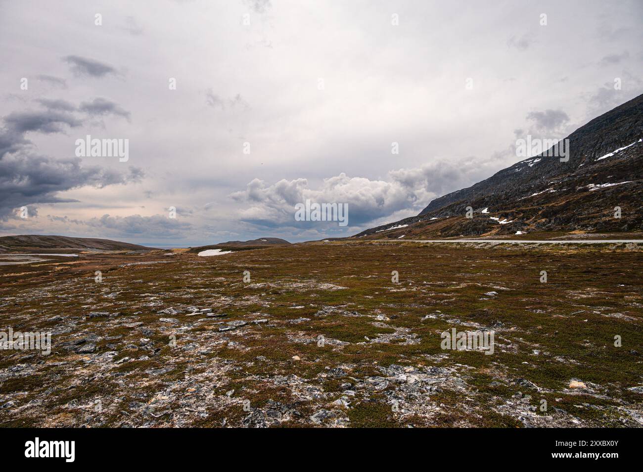 nordic landscape along the road from Alta to the Island of Mageroya ...