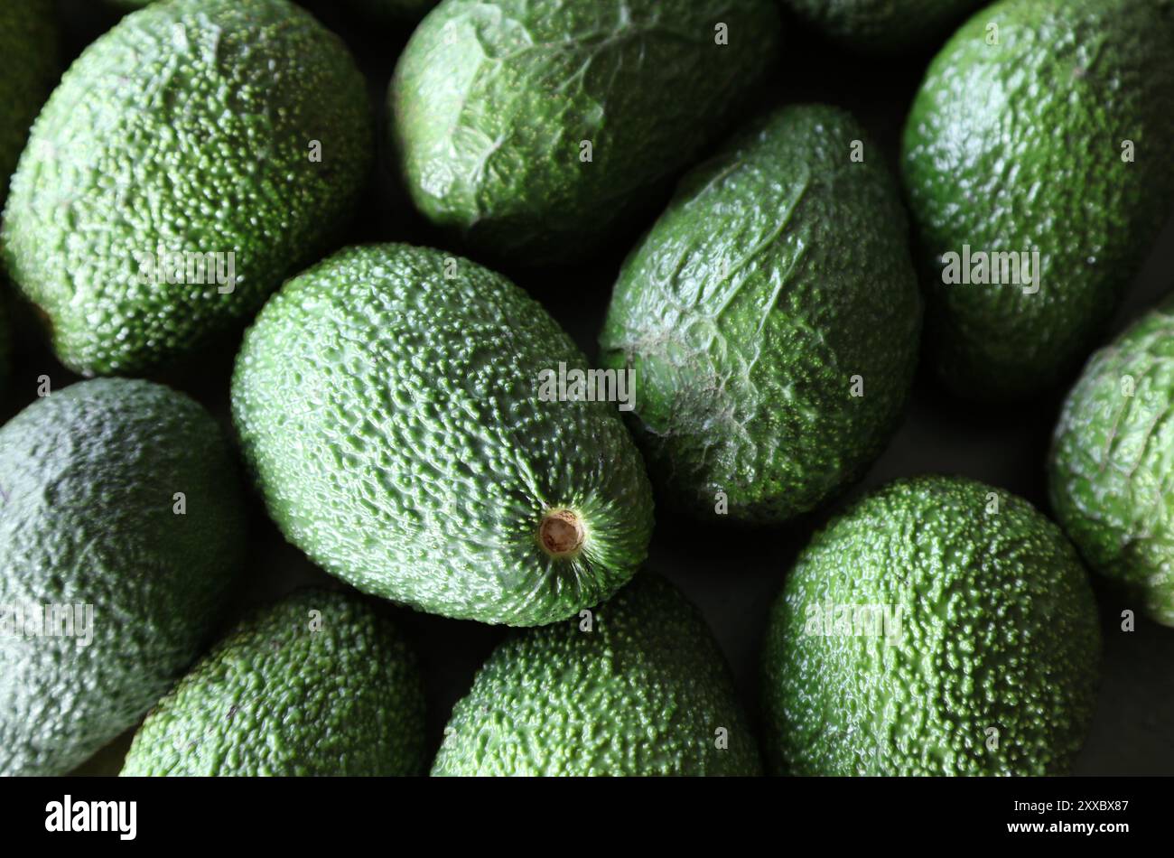 Close-up of green whole Hass avocados Stock Photo - Alamy