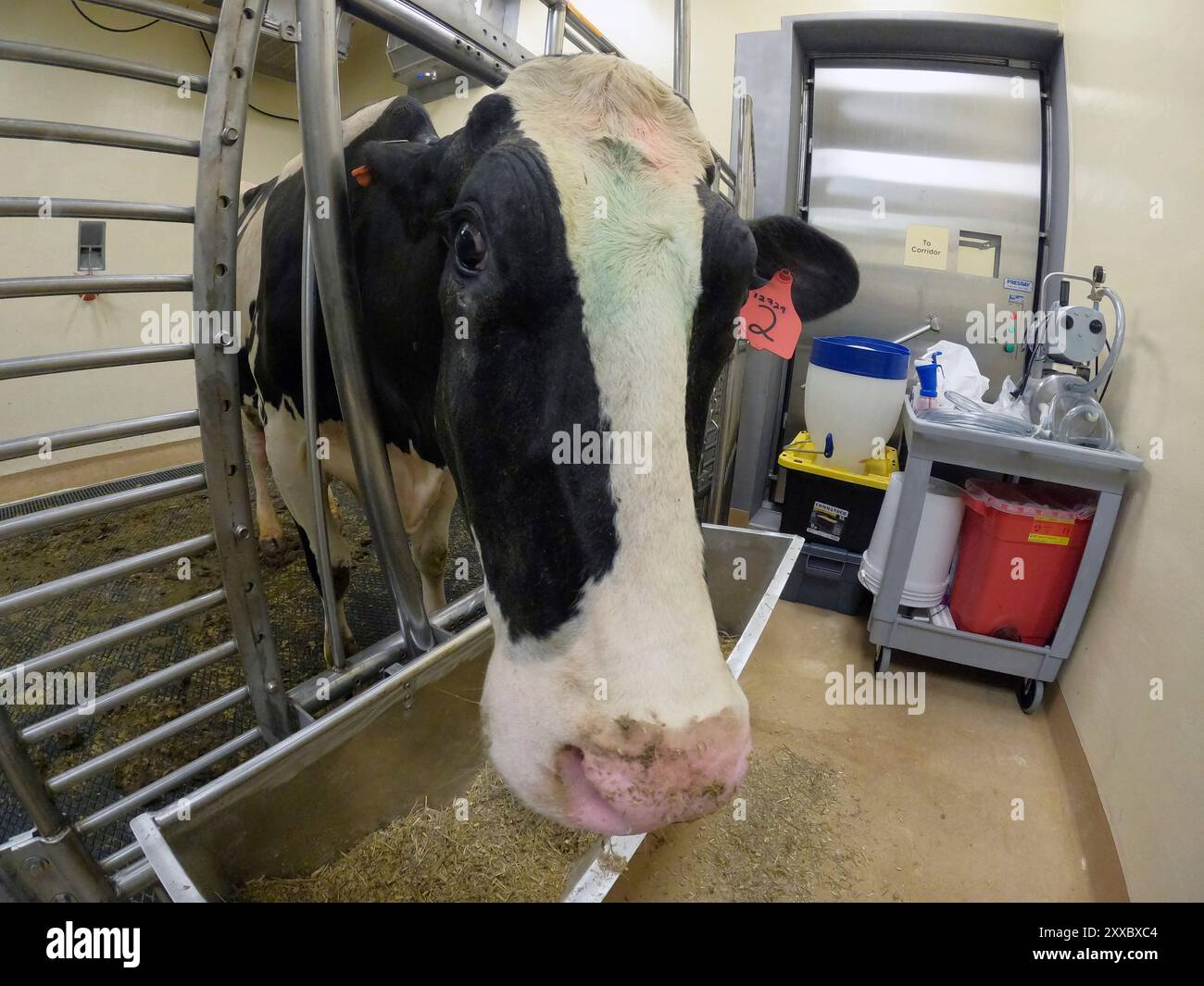 In this photo provided by the U.S. Department of Agriculture, a ...