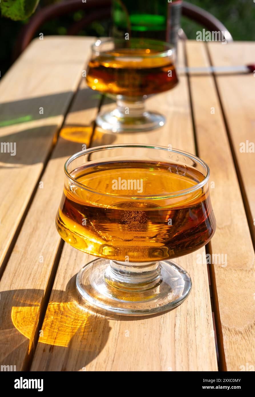 Tasting of french apple cider brut in glass made from new harvest ...