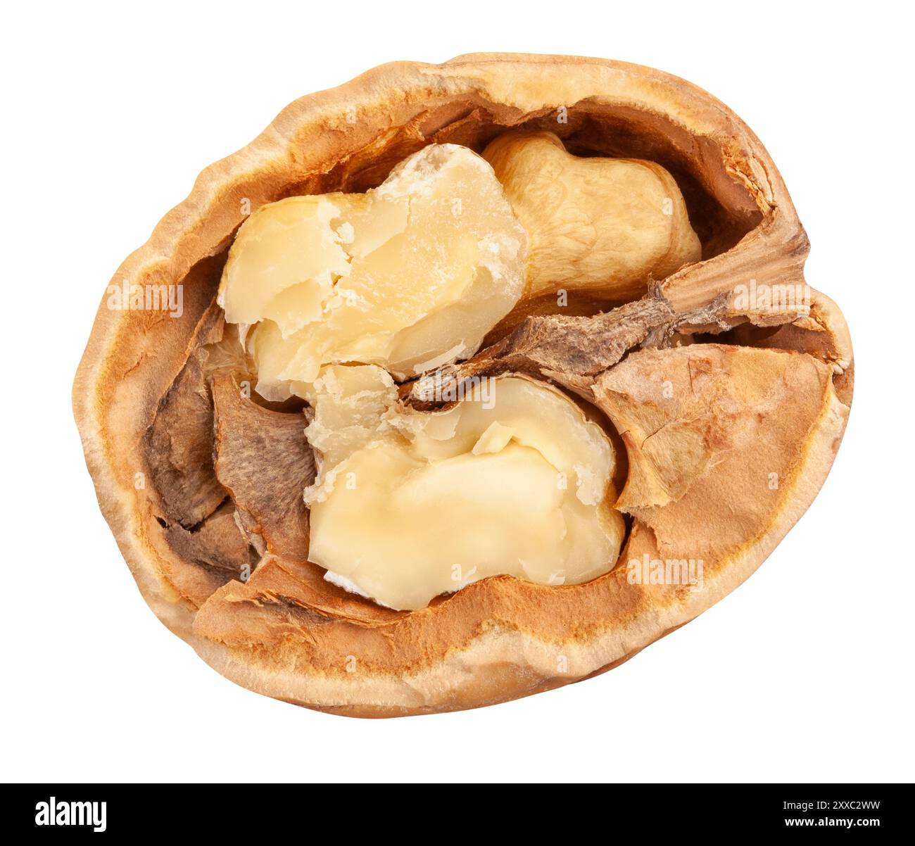 sliced walnuts path isolated on white Stock Photo - Alamy