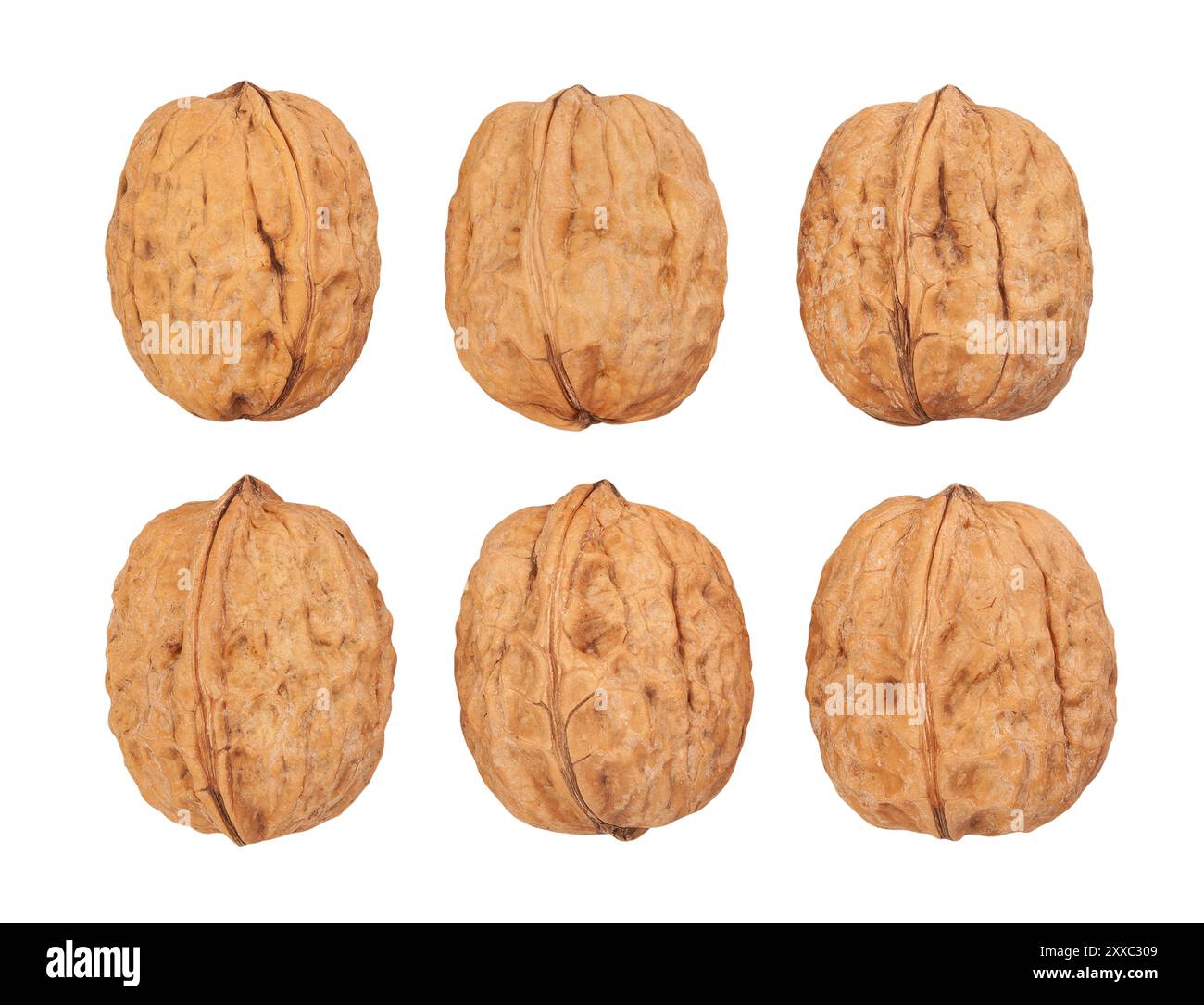 Nuts walnuts on white hi-res stock photography and images - Alamy