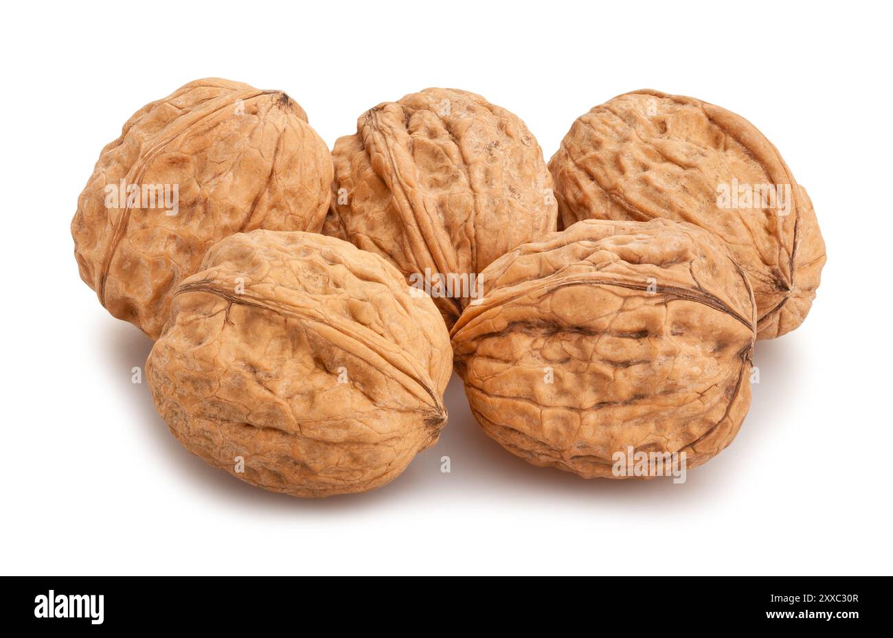 Nuts walnuts on white hi-res stock photography and images - Alamy