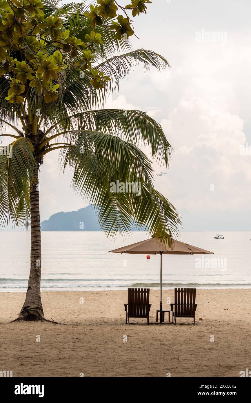Chairs and umbrella under coconut tree in Philippines Stock Photo - Alamy