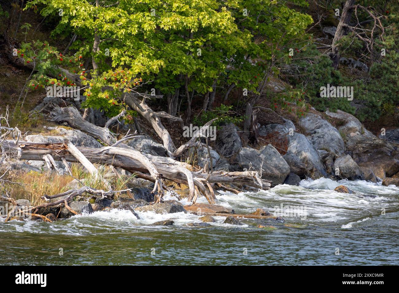 A serene riverside scene featuring flowing water, rocky banks, and lush ...