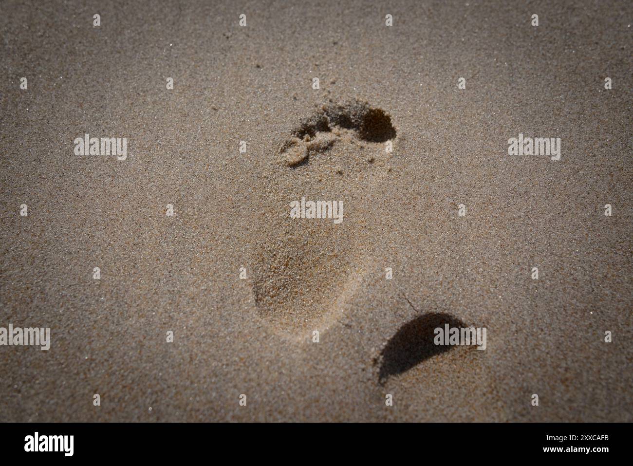 First Steps: Baby Footprint in the Sand Stock Photo - Alamy