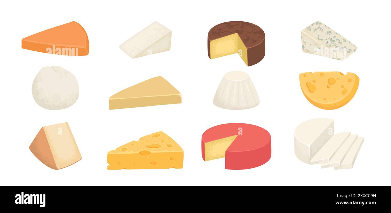 Cheese types. Cartoon cutted parmesan, brie triangle, mozzarella, gouda ...