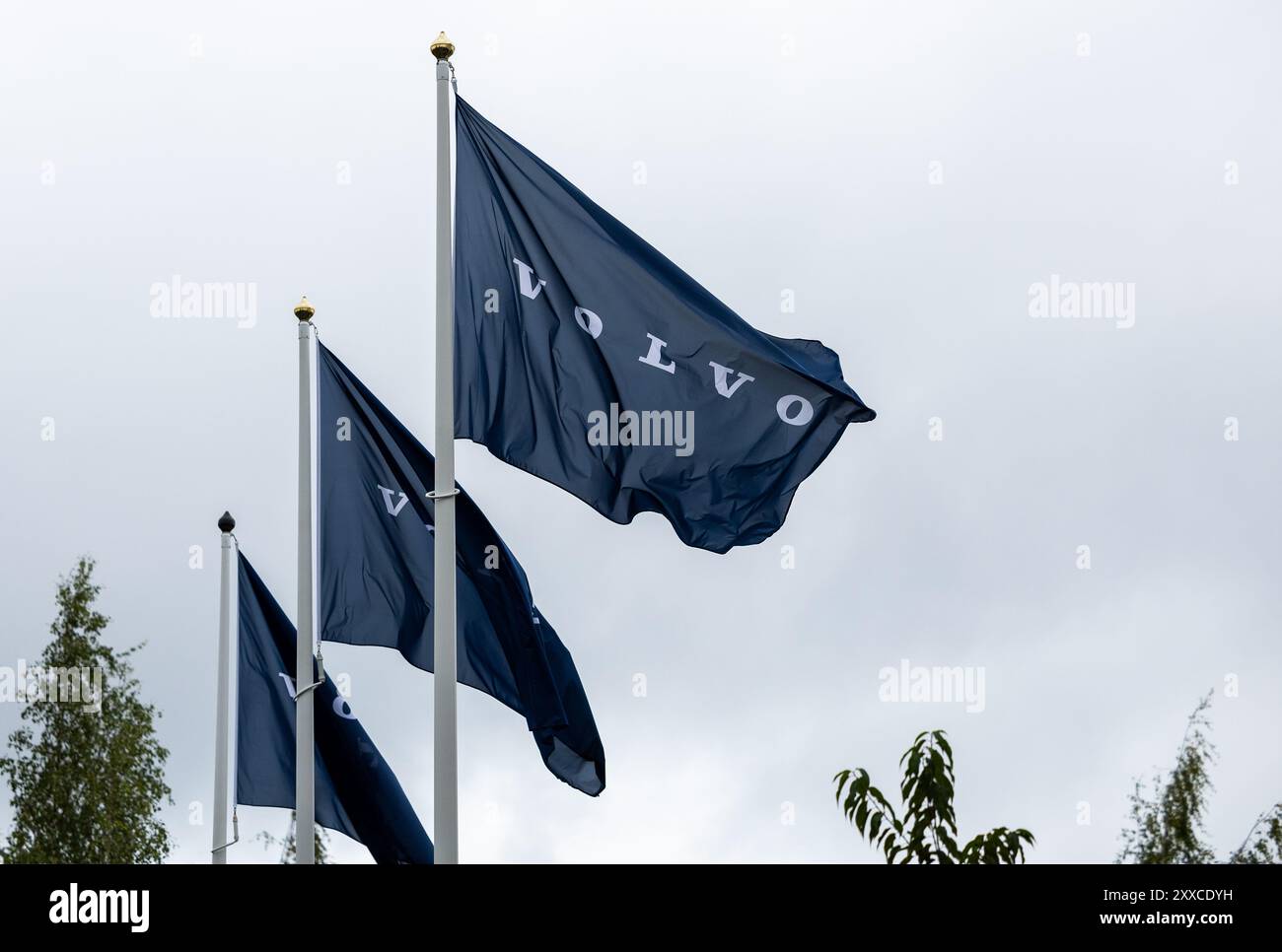 Unit Fmx Logo Fmx Business Logo Hi Res Stock Photography And Images