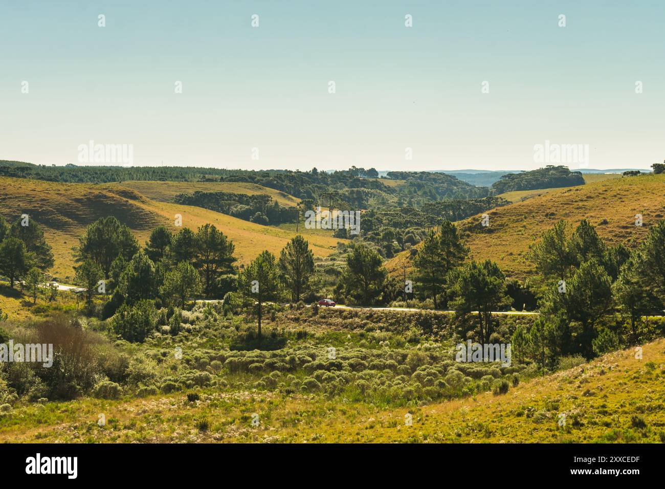 Campos de cima da Serra, Gaucho Highlands, Countryside of Sao Francisco ...