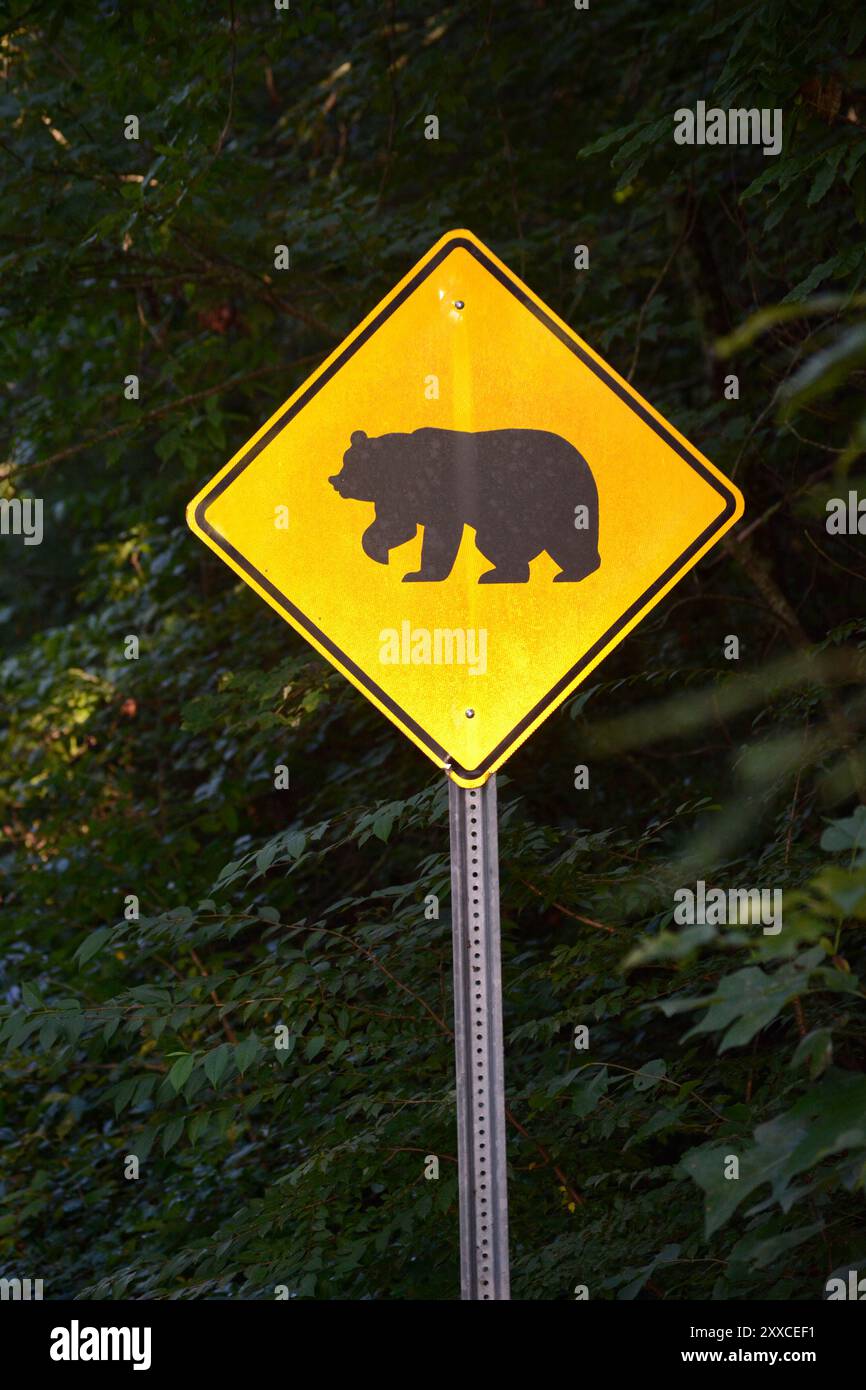 A sign warns motorists to watch for black bears crossing the road in Flat Rock, North Carolna ...