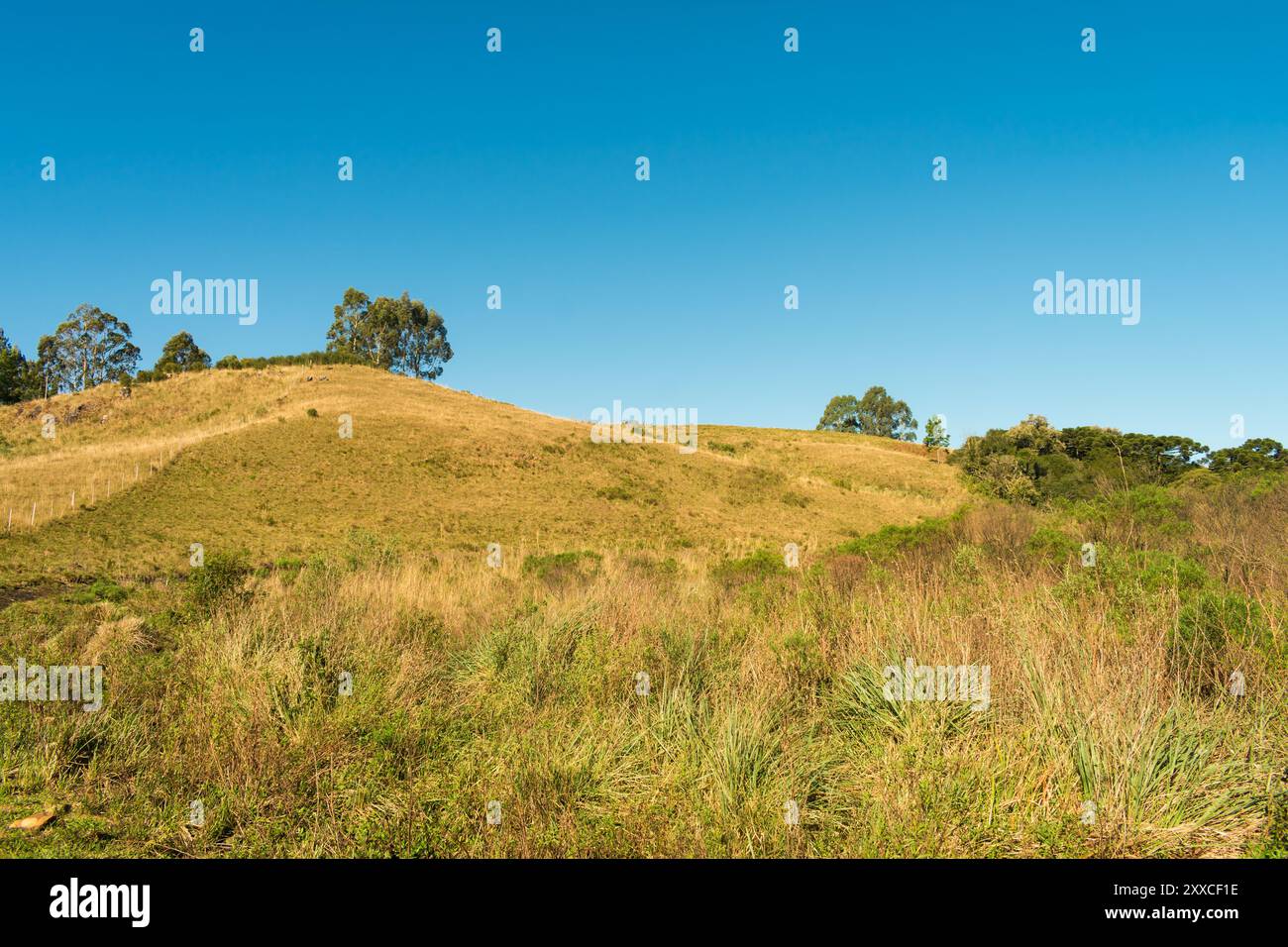 Campos de cima da Serra, Gaucho Highlands, Countryside of Sao Francisco ...