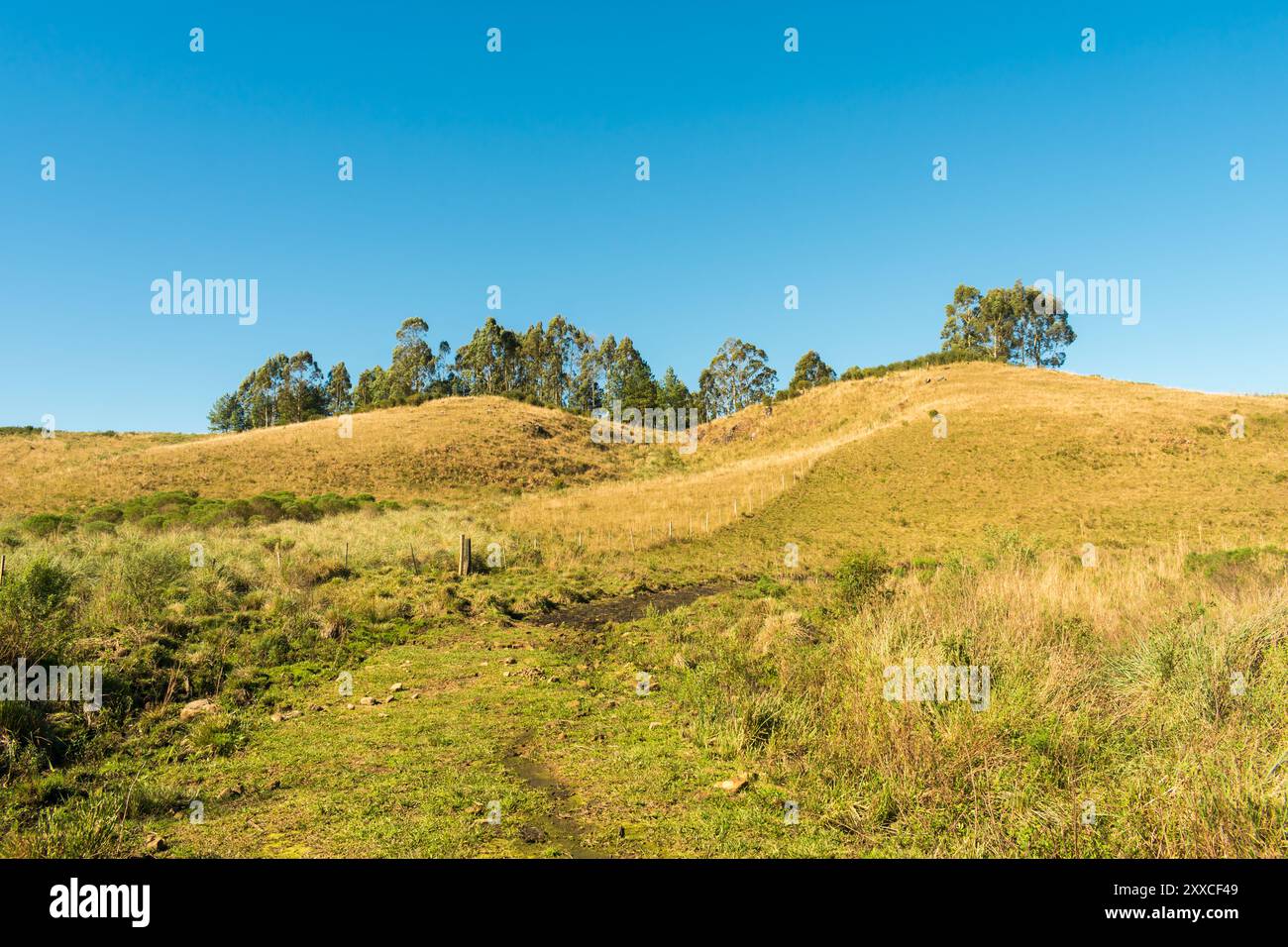 Campos de cima da Serra, Gaucho Highlands, Countryside of Sao Francisco ...