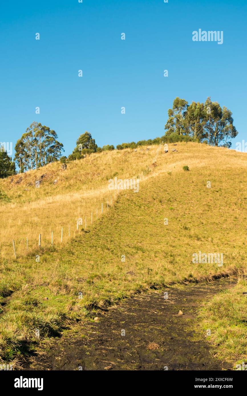 Campos de cima da Serra, Gaucho Highlands, Countryside of Sao Francisco ...